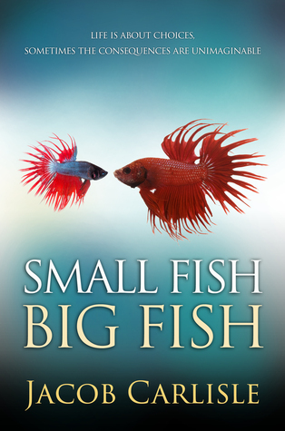 Small Fish Big Fish by P.J. McDermott | Goodreads