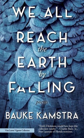We All Reach the Earth by Falling by Bauke Kamstra | Goodreads