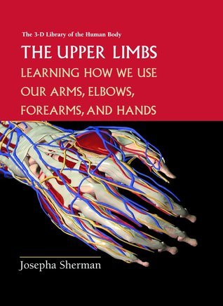 The Upper Limbs: Learning About How We Use Our Arms, Elbows, Forearms ...