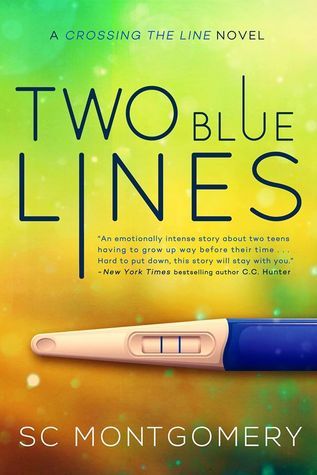 Two Blue Lines (Crossing the Line, #1) by S.C. Montgomery | Goodreads