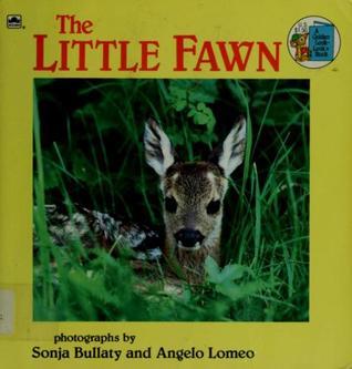 The Little Fawn by Sonja Bullaty | Goodreads