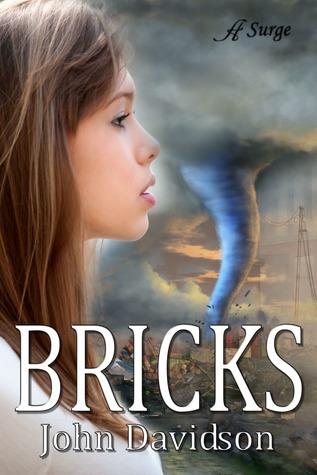 Bricks by John Davidson | Goodreads