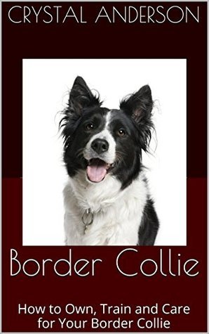 Border Collie: How to Own, Train and Care for Your Border Collie by ...