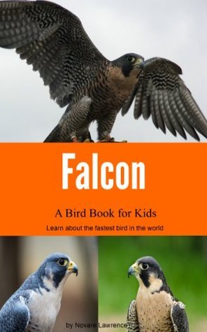 Falcon: A Bird Book for Kids by Novare Lawrence | Goodreads