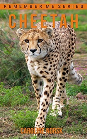 Cheetah: Amazing Photos & Fun Facts Book About Cheetahs For Kids by ...