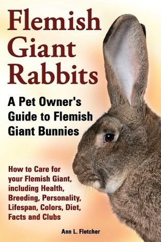 Flemish Giant Rabbits: A Pet Owner’s Guide to Flemish Giant Bunnies ...