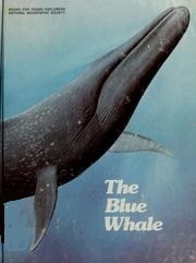 The Blue Whale: The Story of Big Blue by Donna K. Grosvenor | Goodreads