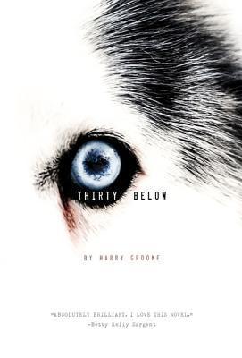 Thirty Below by Harry Groome | Goodreads