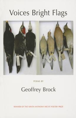 Voices Bright Flags by Geoffrey Brock | Goodreads