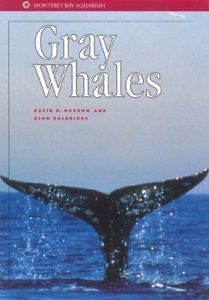 Gray Whales by David George Gordon | Goodreads