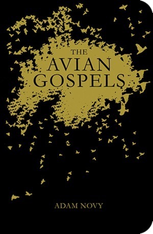 The Avian Gospels by Adam Novy | Goodreads