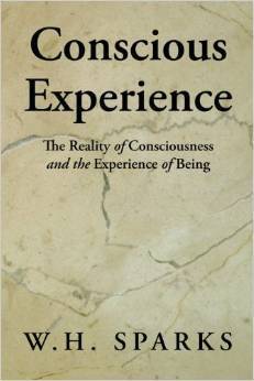 Conscious Experience: The Reality of Consciousness and the Experience ...