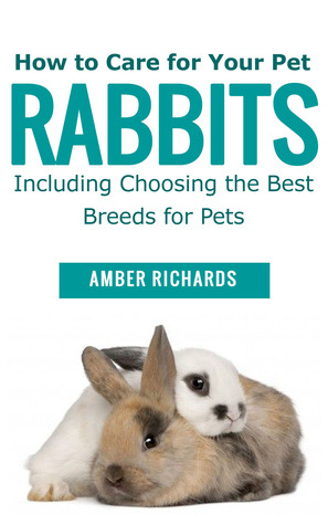 How to Care for Your Pet Rabbits: Including Choosing the Best Breeds ...