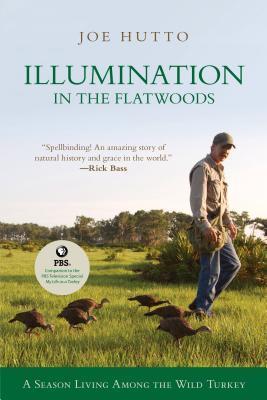 Illumination in the Flatwoods: A Season With The Wild Turkey by Joe ...