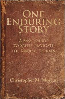One Enduring Story: A Basic Guide to Safely Navigating the Biblical ...