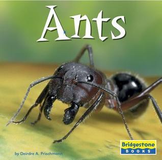 Ants (World of Insects) by Deirdre A. Prischmann | Goodreads