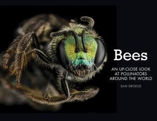 Bees: An Up-Close Look at Pollinators Around the World by Sam Droege ...