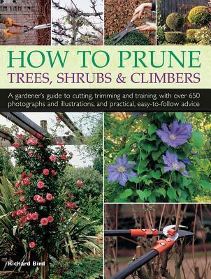 How to Prune Trees, Shrubs & Climbers: A Gardener'S Guide To Cutting ...