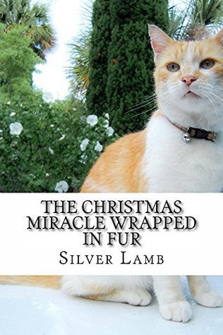 The Christmas Miracle Wrapped in Fur: Mr. Scruffy Pants Has an ...