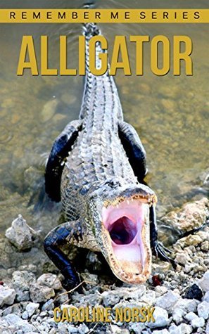 Alligator: Amazing Photos & Fun Facts Book About Alligator For Kids by ...