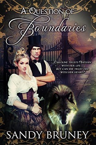 A Question of Boundaries by Sandra Bruney | Goodreads