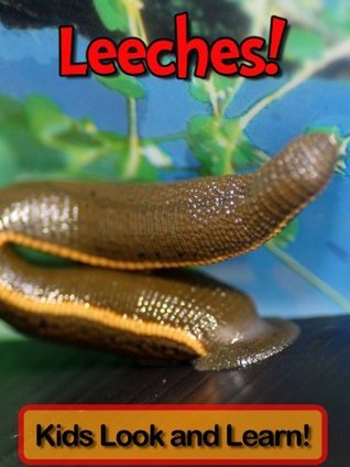 Leeches! Learn About Leeches and Enjoy Colorful Pictures - Look and ...
