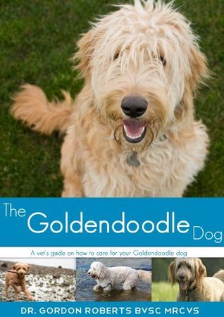 Goldendoodle: A vet's guide on how to care for your Goldendoodle dog by ...