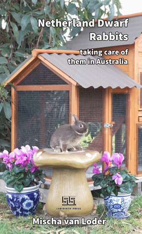 Netherland Dwarf Rabbits: Taking Care of Them in Australia by Mischa ...