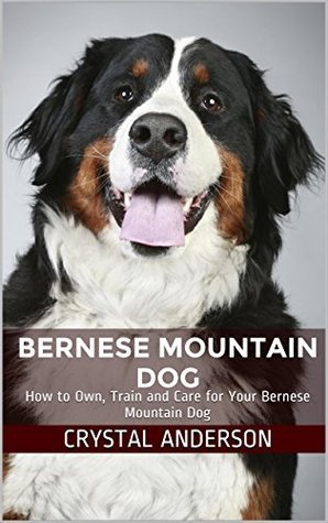 Bernese Mountain Dog: How to Own, Train and Care for Your Bernese ...
