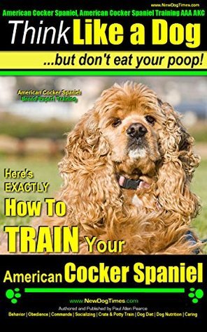 American Cocker Spaniel, American Cocker Spaniel Training AAA AKC ...
