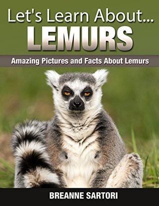 Lemurs: Amazing Pictures and Facts About Lemurs by Breanne Sartori ...