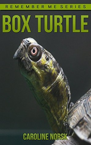 Box Turtle: Amazing Photos & Fun Facts Book About Box Turtles For Kids ...