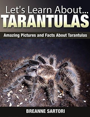Tarantulas: Amazing Pictures and Facts About Tarantulas by Breanne ...