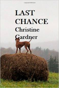 Last Chance by Christine Gardner | Goodreads