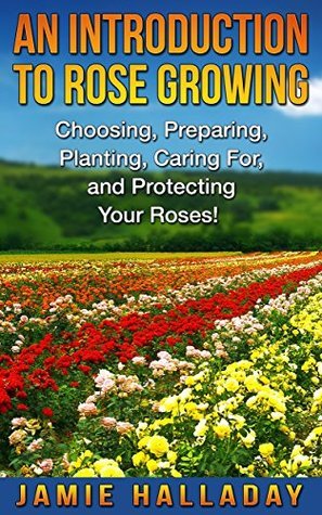 Ornamental Plants: An Introduction To Rose Growing - Choosing ...