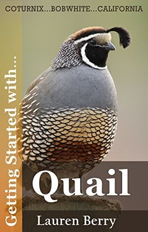 Getting Started with Quail: A Beginners Guide to Happy Healthy Birds ...