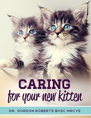 Caring for Your New Kitten: How to care for your kitten and everything ...