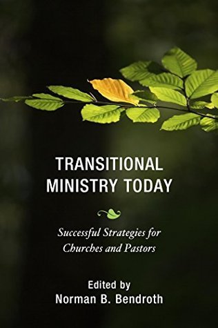 Transitional Ministry Today: Successful Strategies for Churches and ...