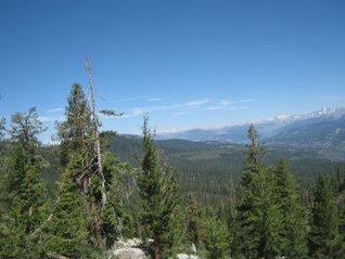 Poems About Biomes: Poems of the Earth's Ecosystems by J.E. Summers ...