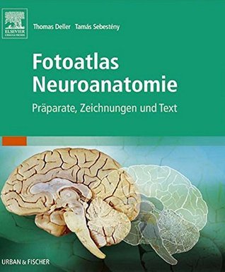 Fotoatlas Neuroanatomie: Präparate, Zeichnungen und Text by Thomas ...