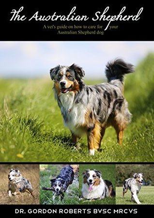 The Australian Shepherd: A vet's guide on how to care for your ...