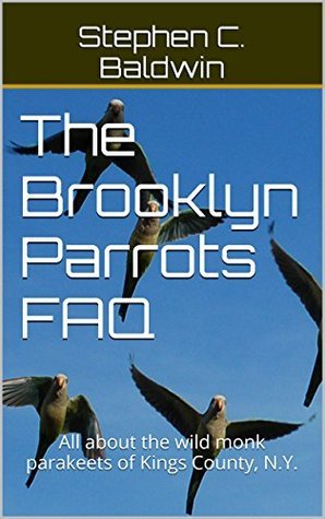 The Brooklyn Parrots FAQ: All about the wild monk parakeets of Brookyn ...