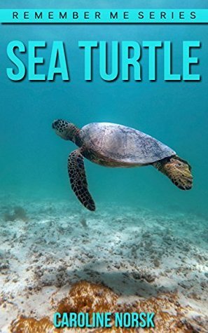 Sea Turtle: Amazing Photos & Fun Facts Book About Sea Turtles For Kids ...