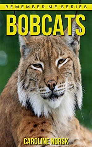 Bobcat: Amazing Photos & Fun Facts Book About Bobcats For Kids by ...