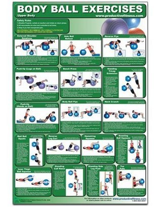 Laminated Fitness Ball Poster - Upper & Lower Body Exercises - Created ...
