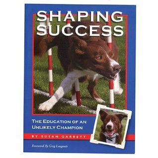 Shaping Success by Susan Garrett | Goodreads