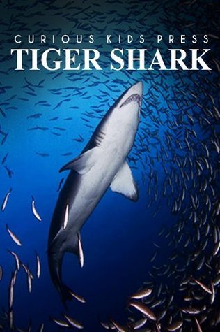 Tiger Shark - Curious Kids Press: Kids book about animals and wildlife ...