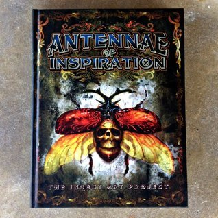 Antennae of Inspiration: The Insect Art Project by Jinxi Caddel by ...