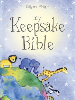My Keepsake Bible by Sally Ann Wright | Goodreads