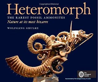 Heteromorph: The Rarest Fossil Ammonites - Nature at its Most Bizarre ...